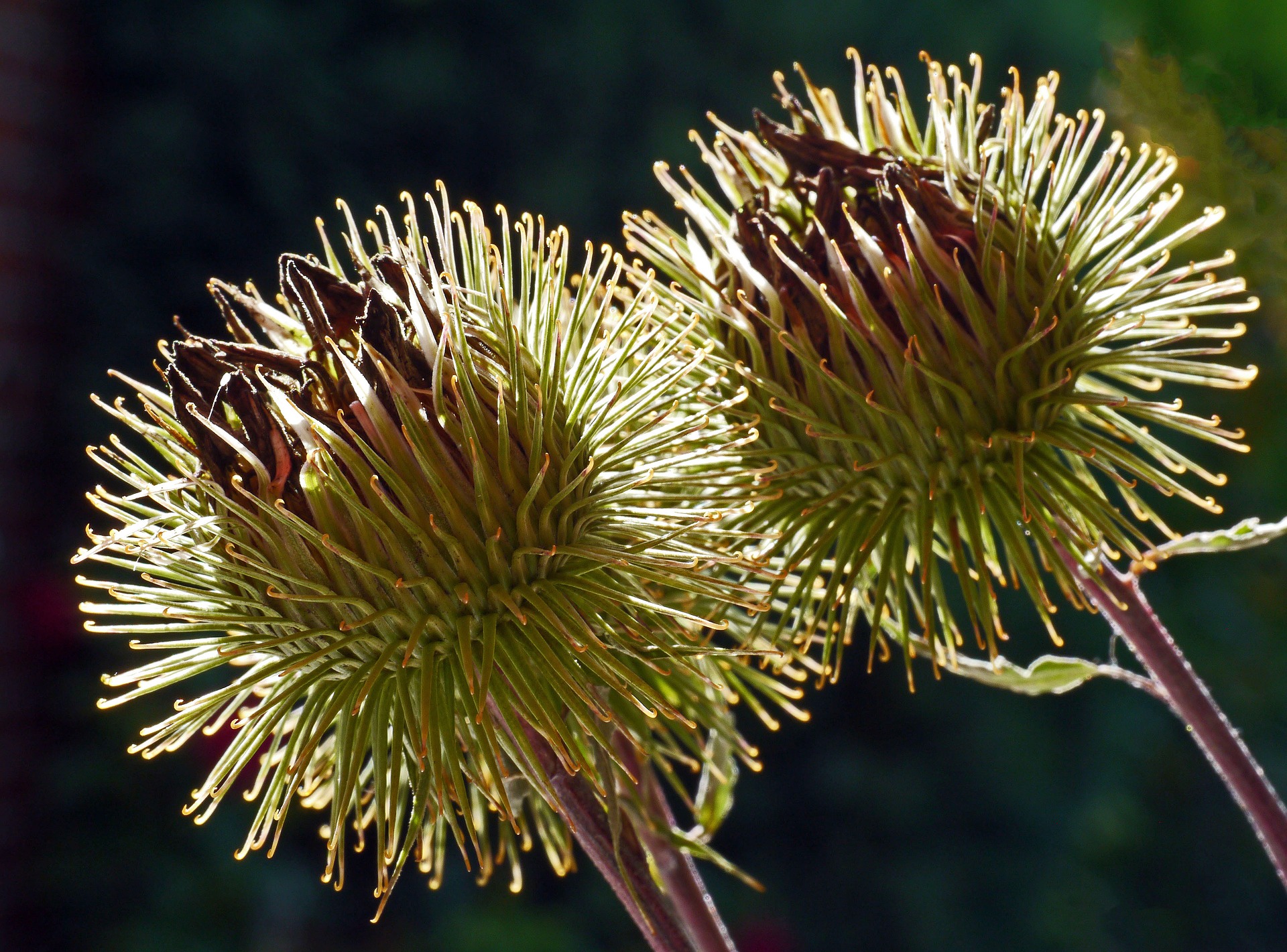 Qué es el velcro y para qué sirve
